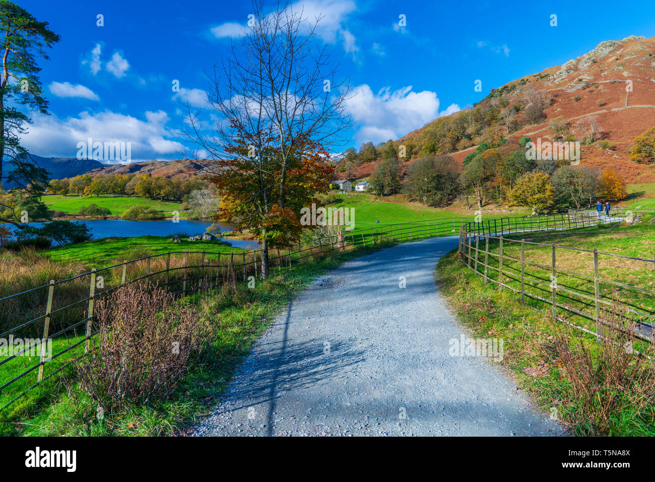 Loughrigg Tarn Elterwater, Lake District National Park, Cumbria ...