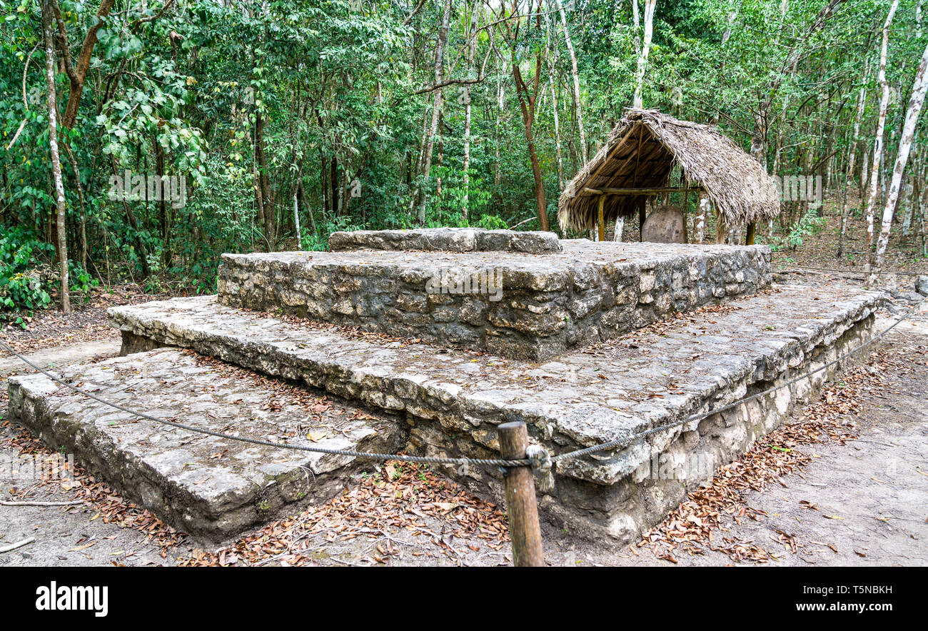 Mayan Pyramid at Coba in Mexico Stock Photo - Alamy