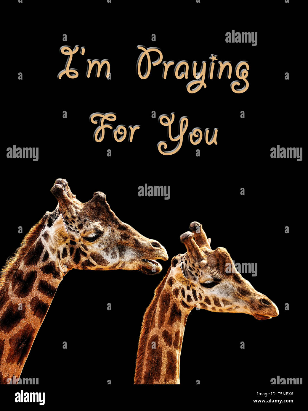 I'm praying for you Stock Photo - Alamy