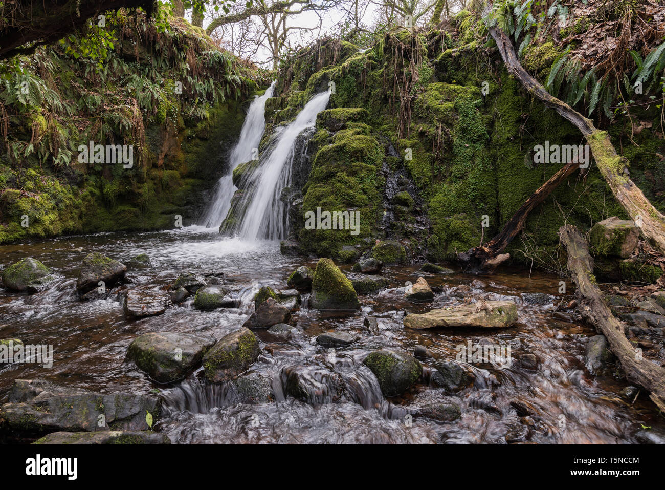 Two Waterfalls High Resolution Stock Photography and Images - Alamy