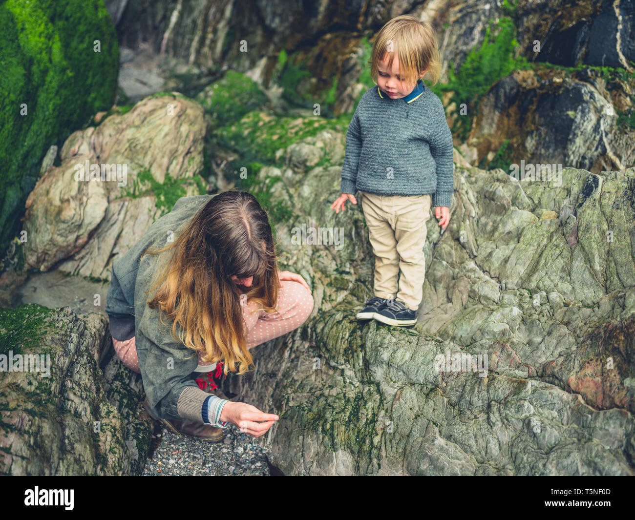 Family exploring rocks hi-res stock photography and images - Alamy