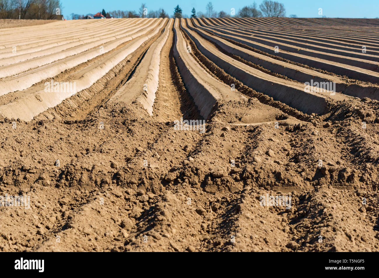 Agricultural season hi-res stock photography and images - Alamy