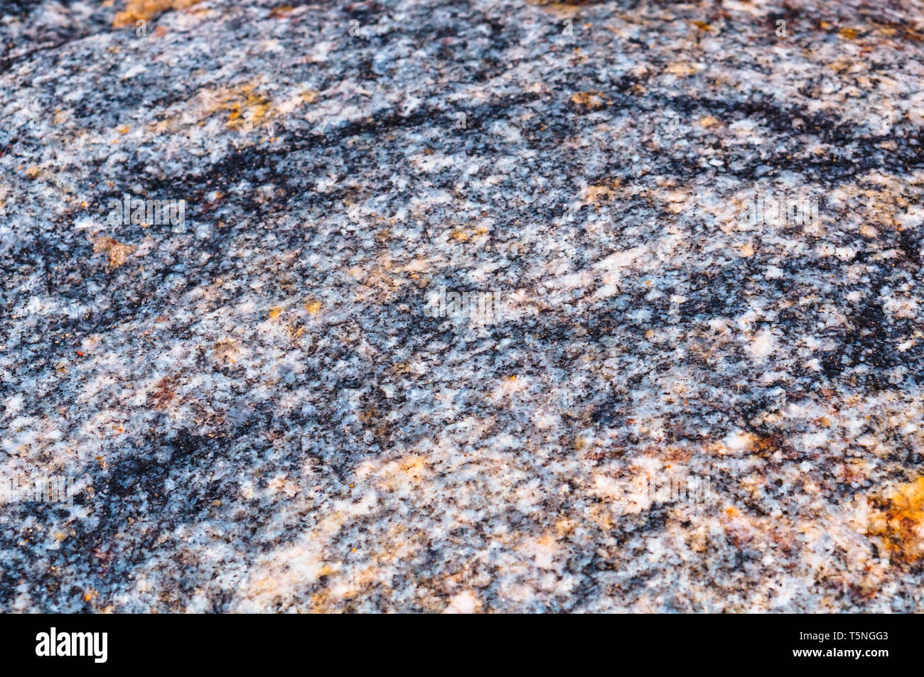 the background of sea stone, the texture of the stone Stock Photo - Alamy