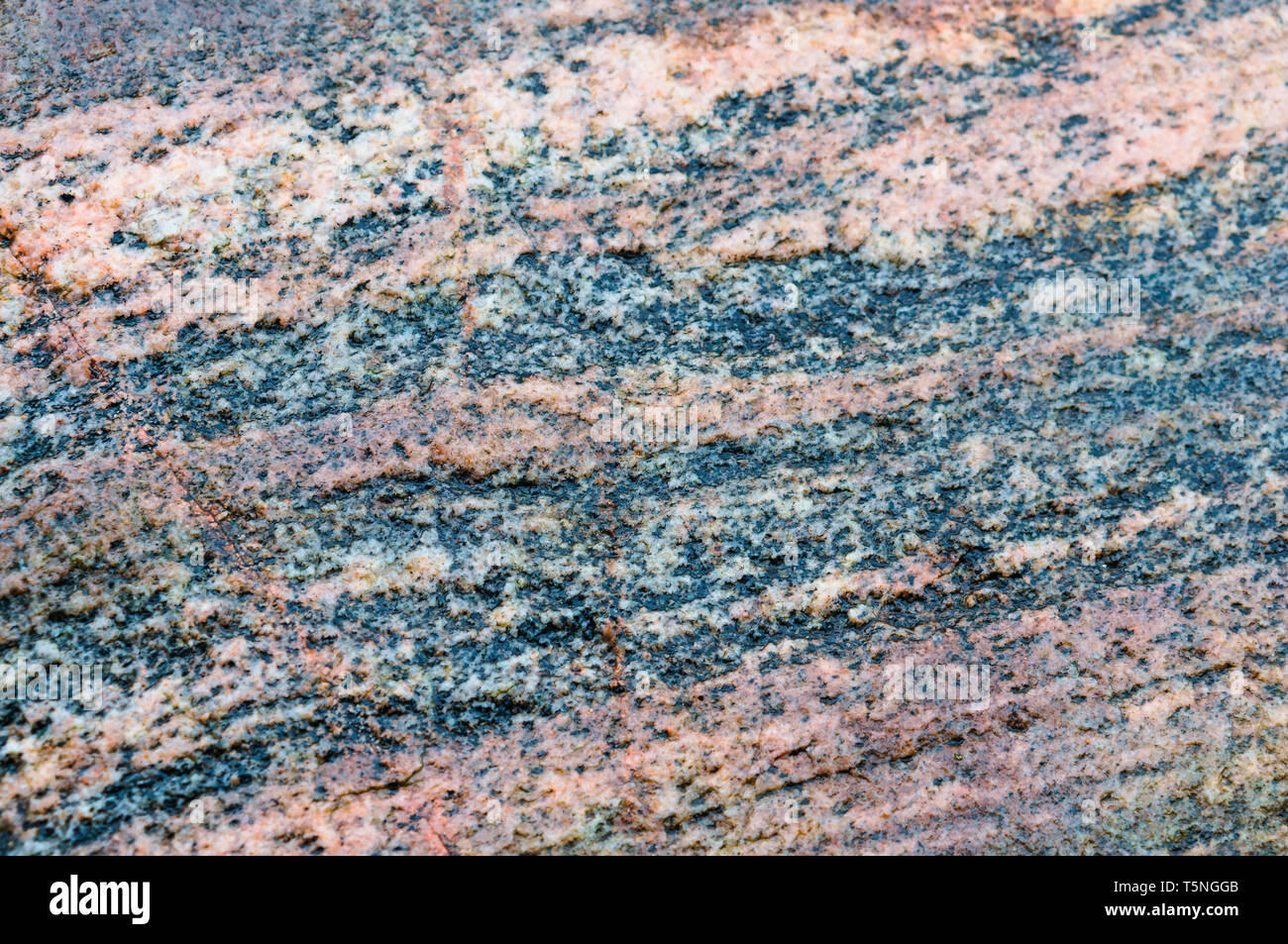 the background of sea stone, the texture of the stone Stock Photo - Alamy