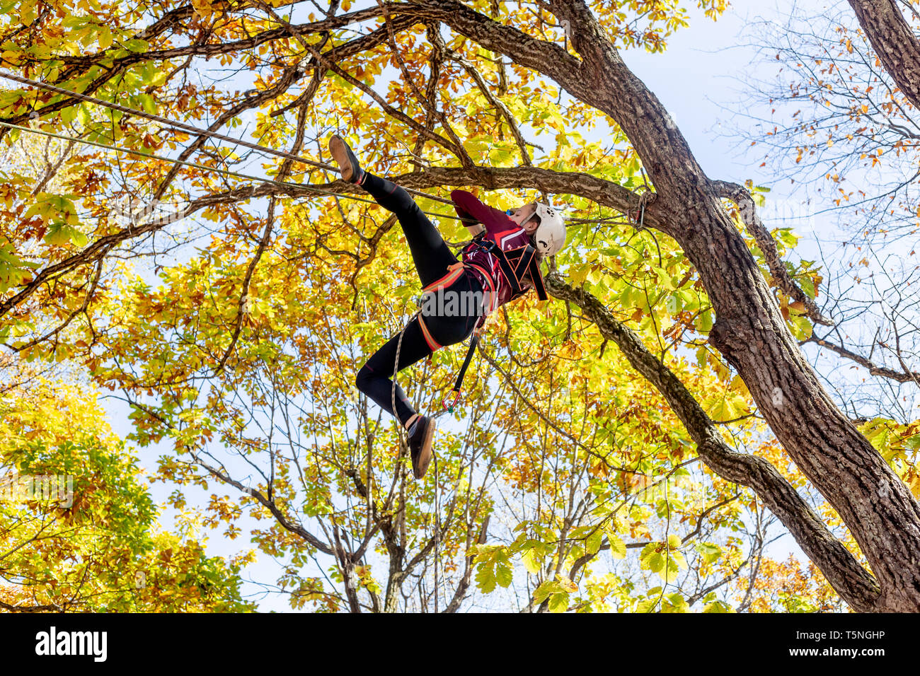 Teen girl climb tree hi-res stock photography and images - Alamy