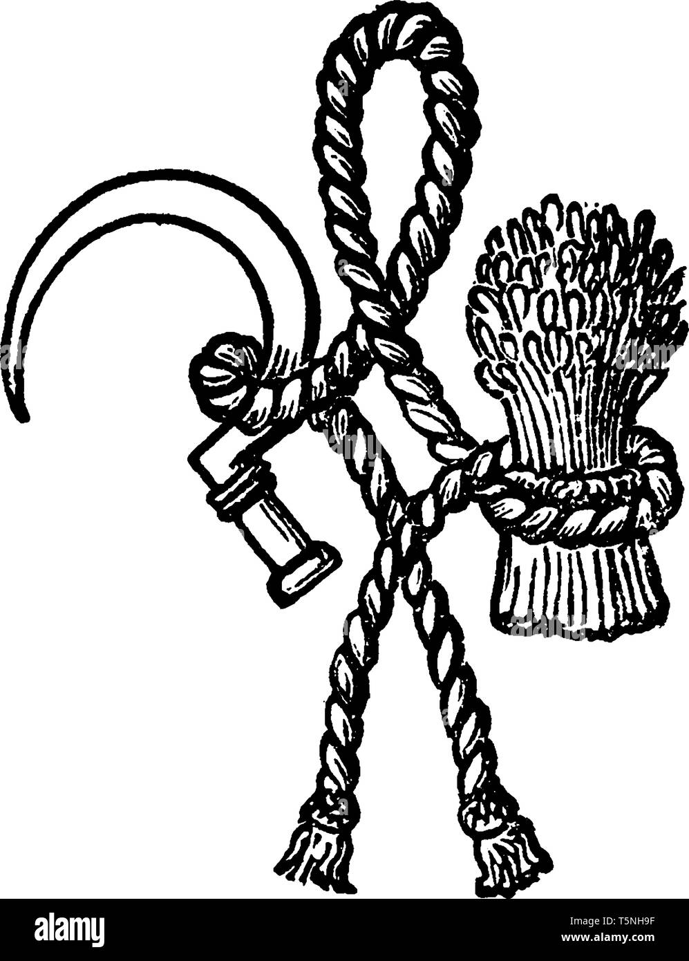 Hungerford Knot is commonly seen in heraldry, vintage line drawing or ...