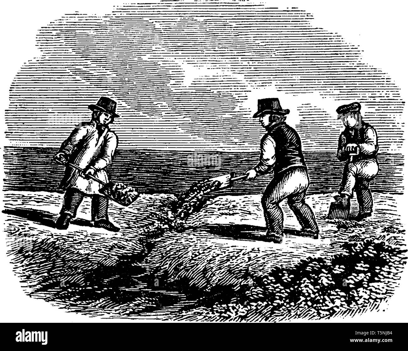 Sea shore art Stock Vector Images - Alamy