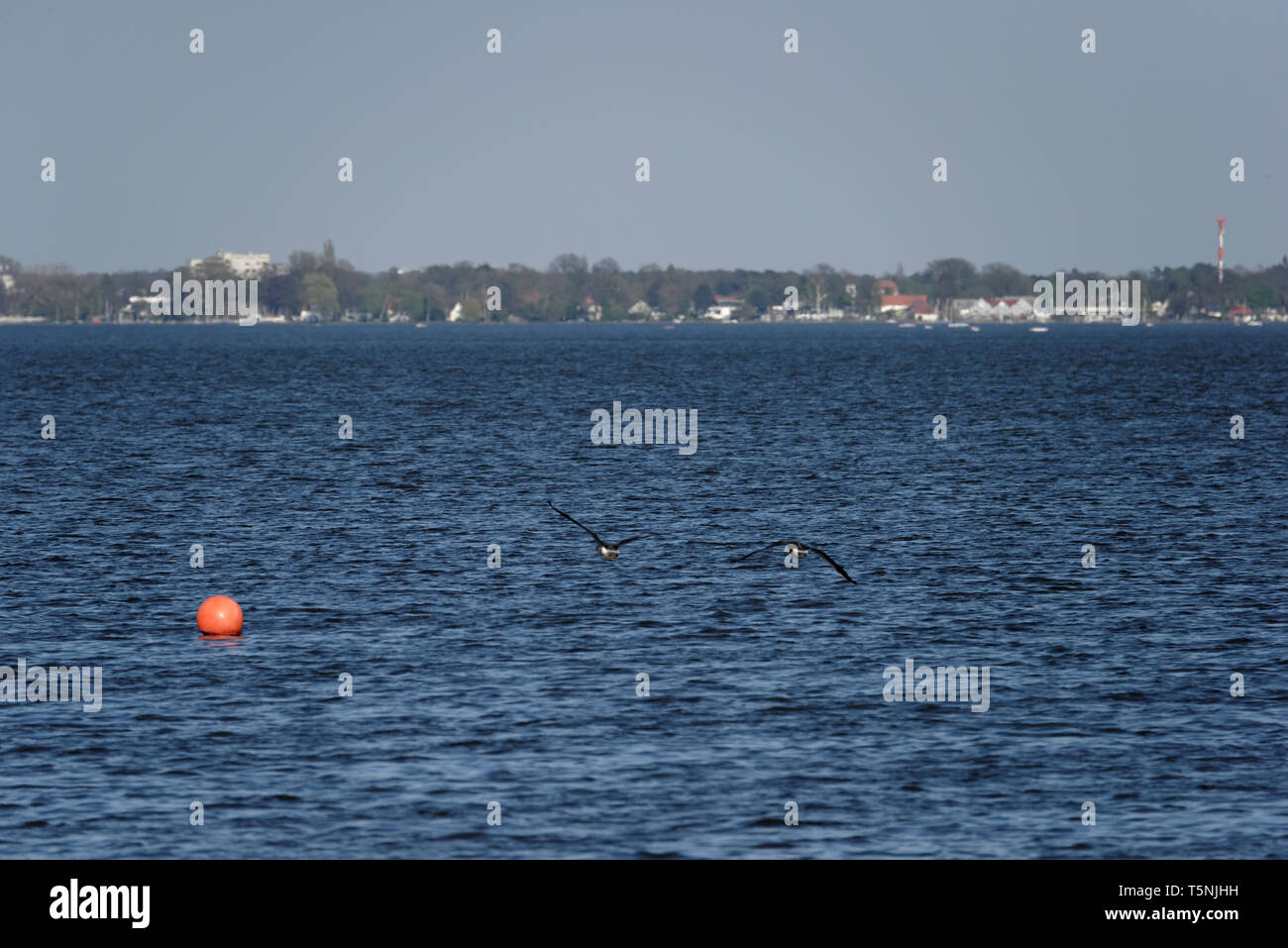 Insel Wilhelmstein im Steinhuder Meer Stock Photo - Alamy