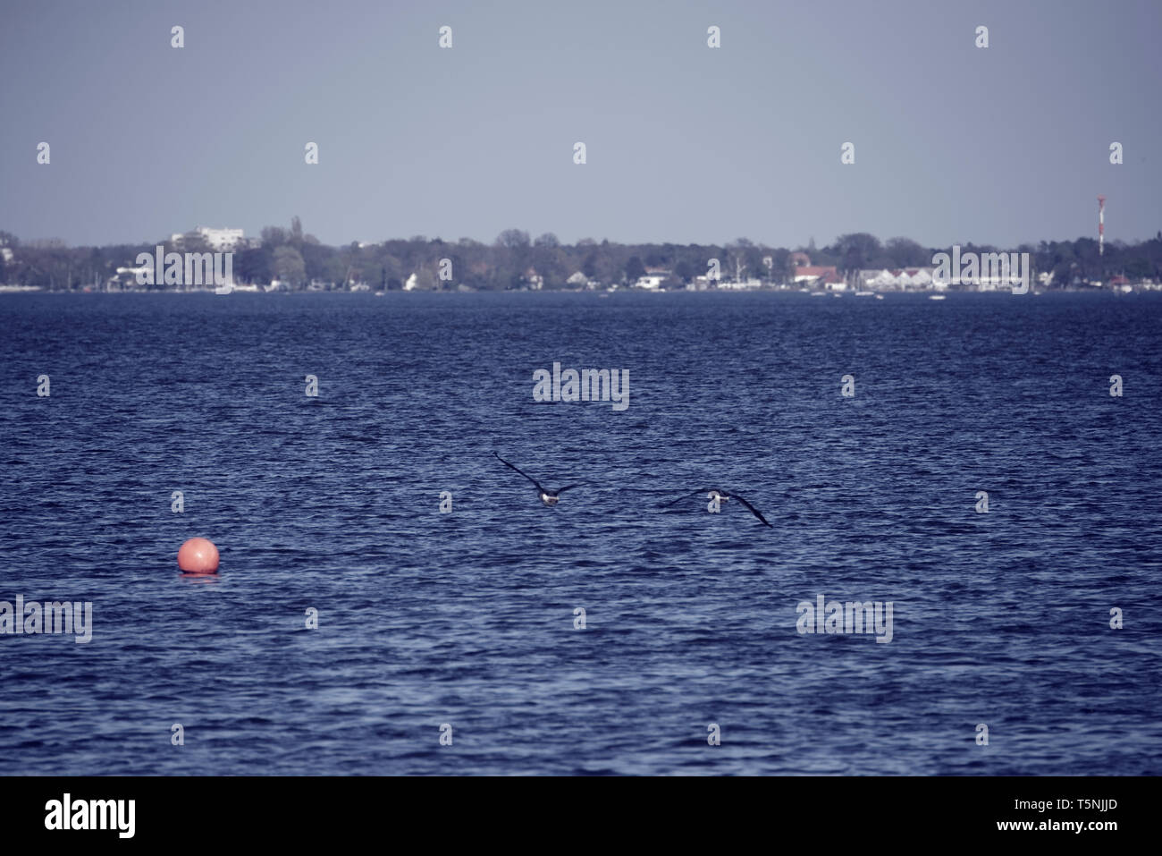 Insel Wilhelmstein im Steinhuder Meer Stock Photo - Alamy
