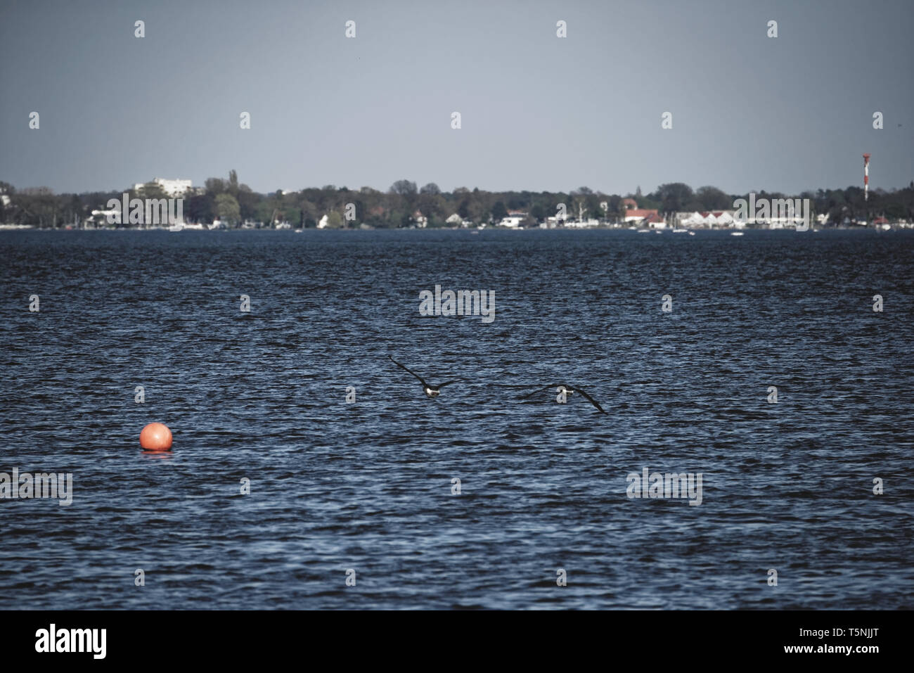 Insel Wilhelmstein im Steinhuder Meer Stock Photo - Alamy