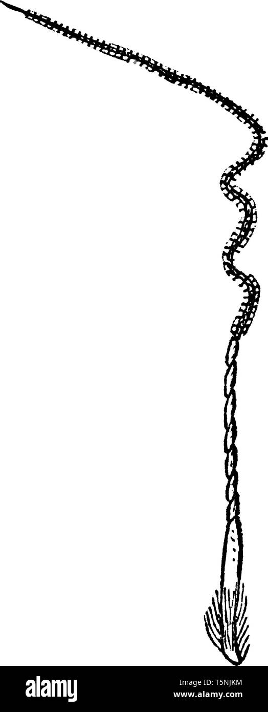 Black white picture lower Stock Vector Images - Alamy