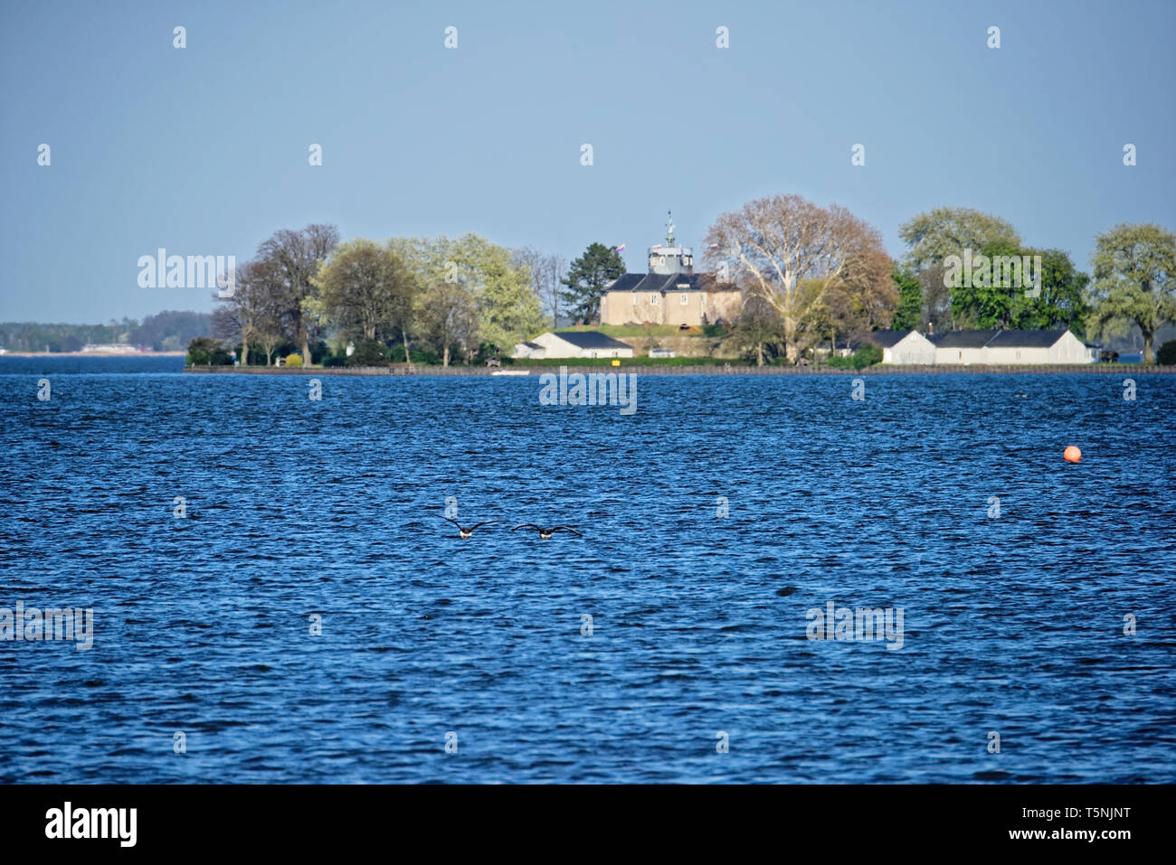 Insel Wilhelmstein im Steinhuder Meer Stock Photo - Alamy