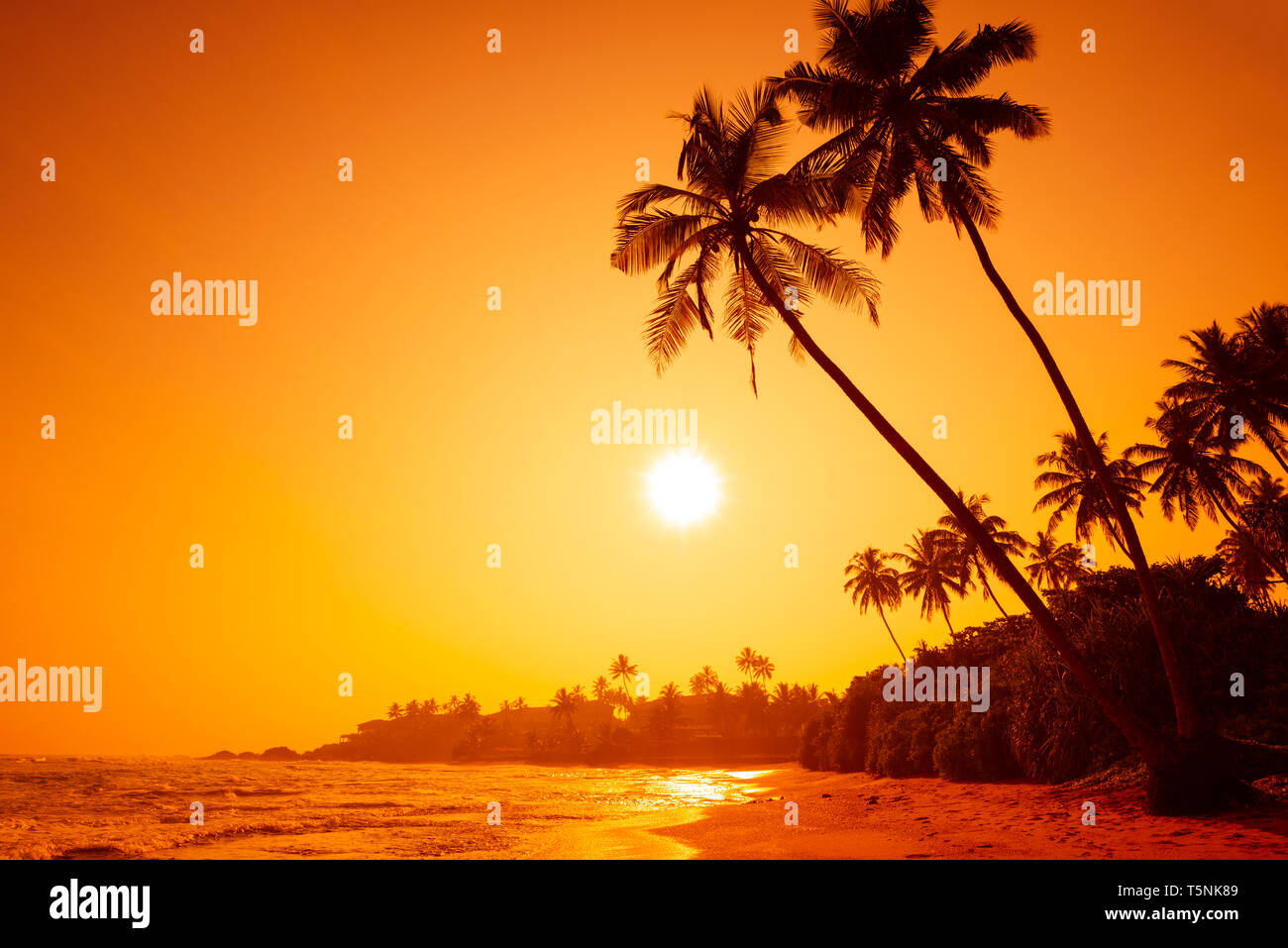 Sunset on tropical beach Stock Photo - Alamy