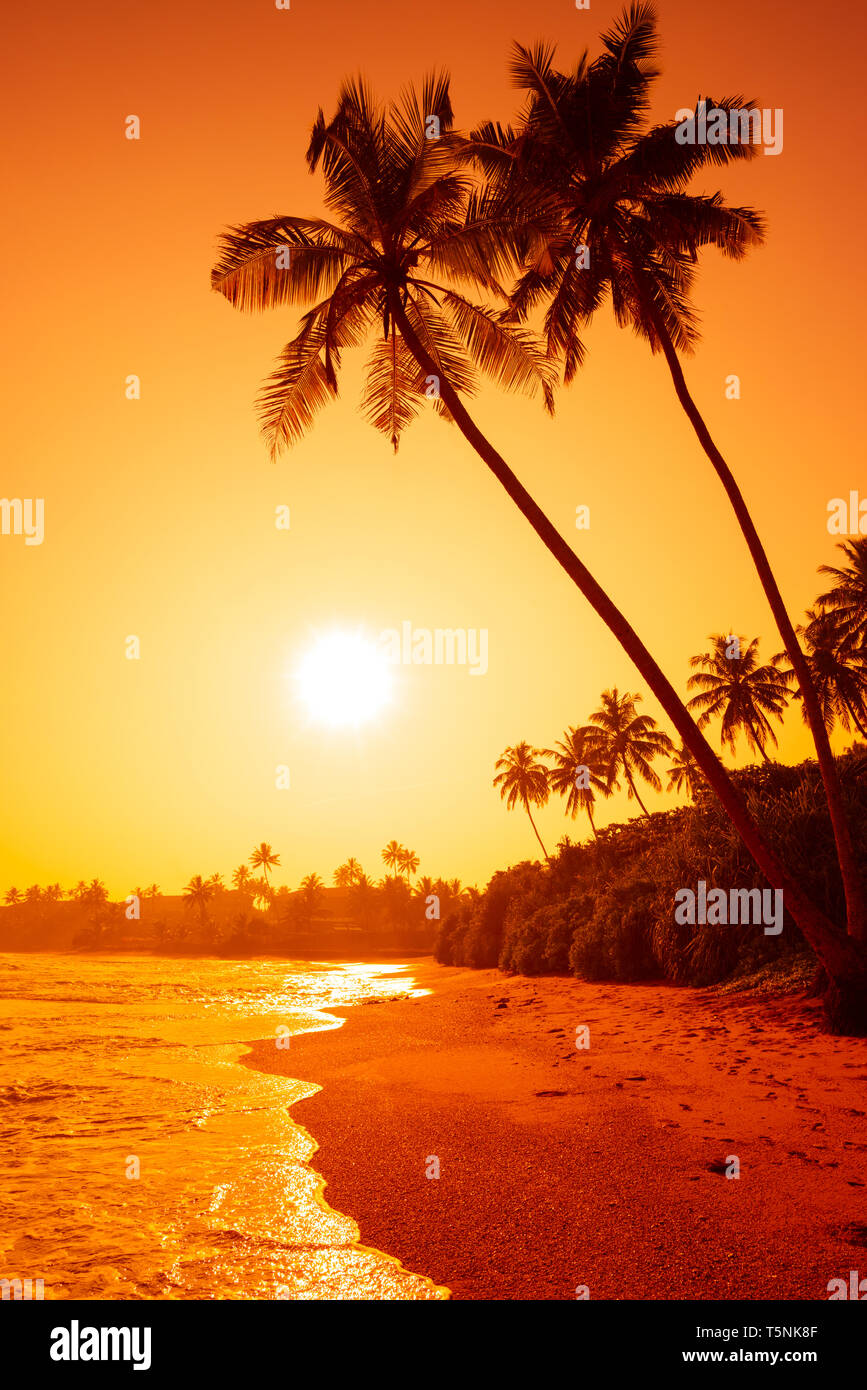 Sunset on tropical beach Stock Photo - Alamy