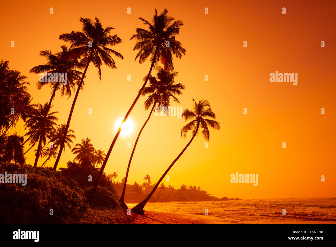 Sunset on tropical beach Stock Photo - Alamy