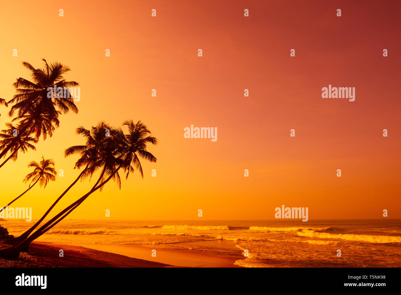 Sunset on tropical beach Stock Photo - Alamy