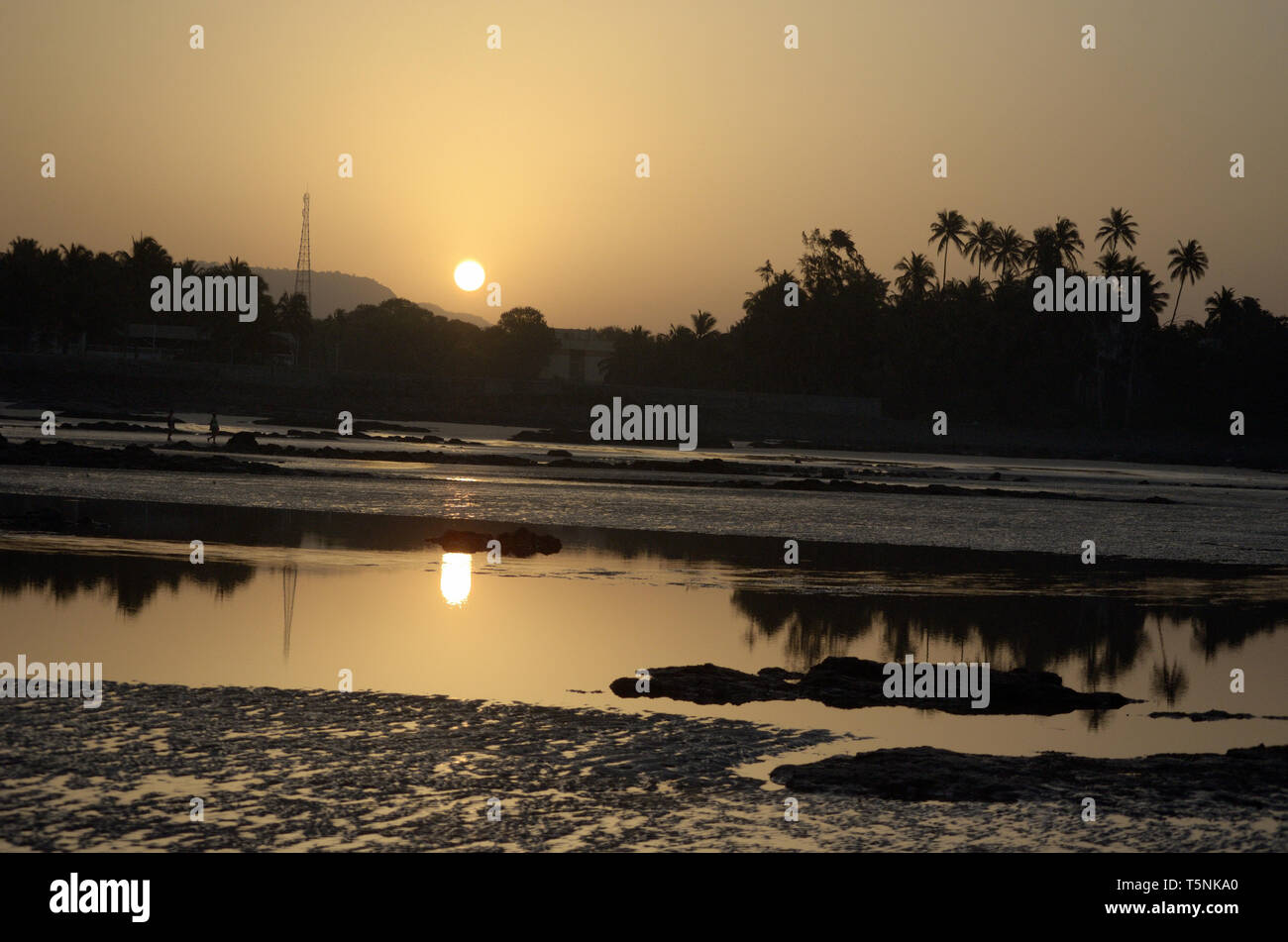 Sunrise trees mountains beach reflection refraction design Stock Photo ...