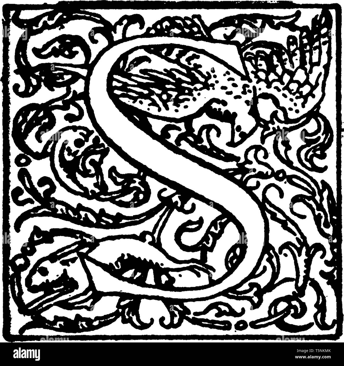 A decorative capital letter S, vintage line drawing or engraving ...