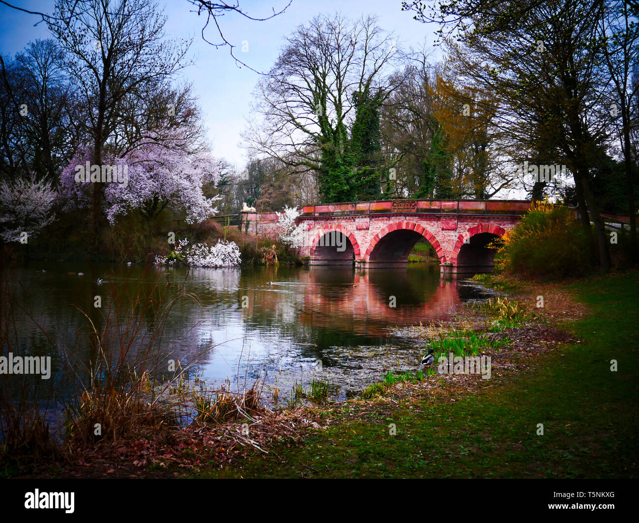 historical red sandstone bridge in the park schönbusch in aschaffenburg ...