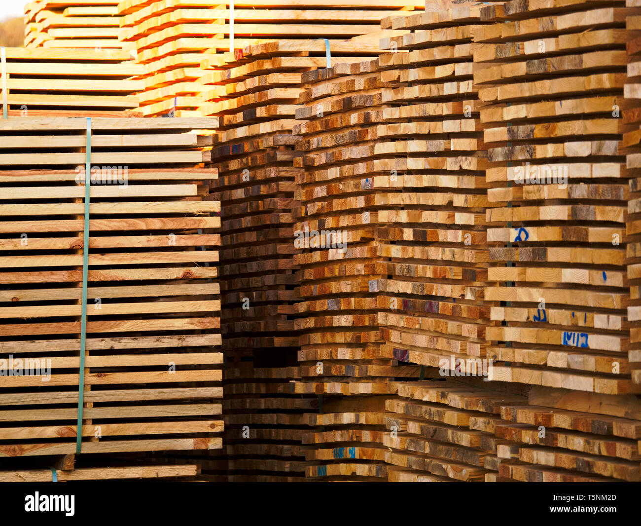 bundles of wood in a sawmill Stock Photo - Alamy