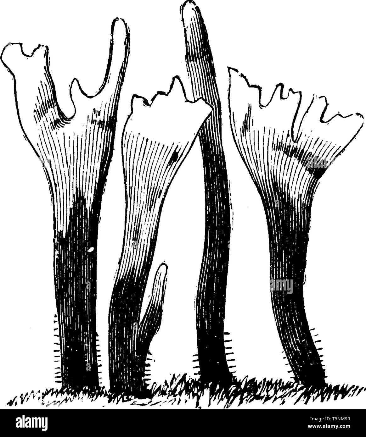 Green blue and yellow color or colour or colors Black and White Stock ...