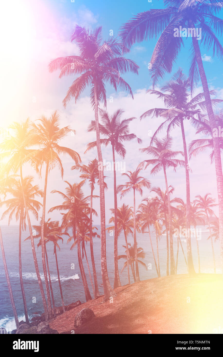 Palm trees on tropical beach, vintage toned and retro color stylized ...