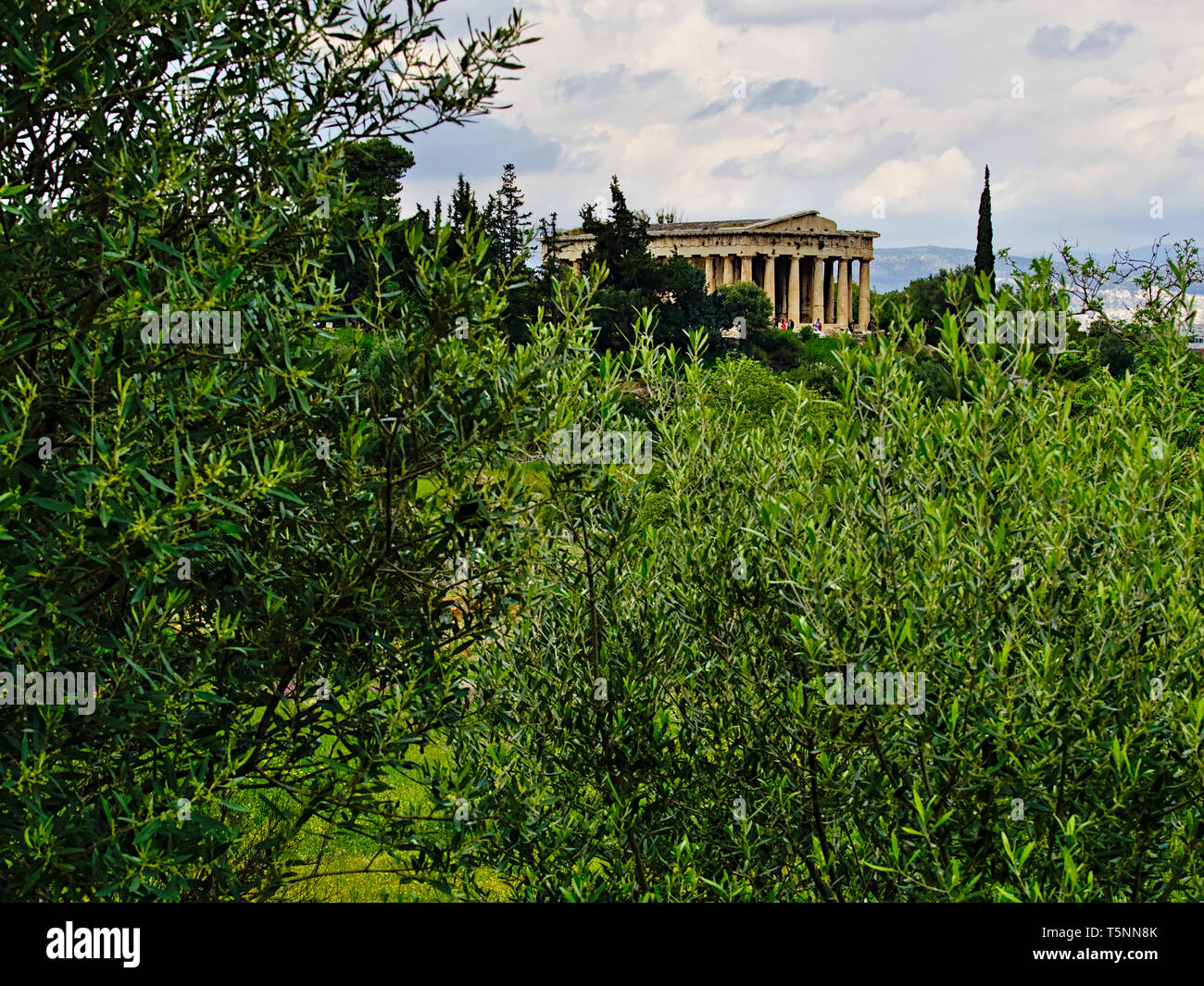 Temple of Hephaestus in Athens, Greece. Landscape with olive, cypress ...
