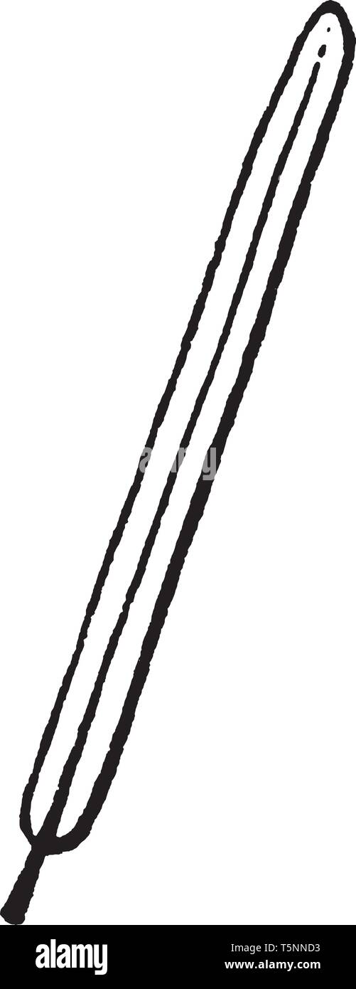 This is a linear shape of a leaf. It is a long and narrow with parallel ...