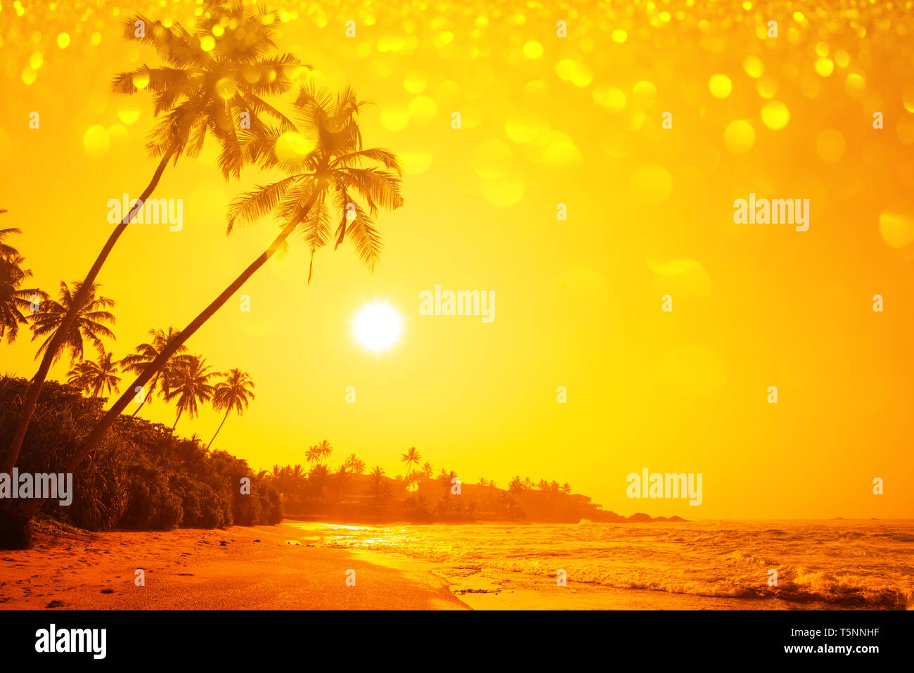 Bokeh Overlay High Resolution Stock Photography and Images - Alamy