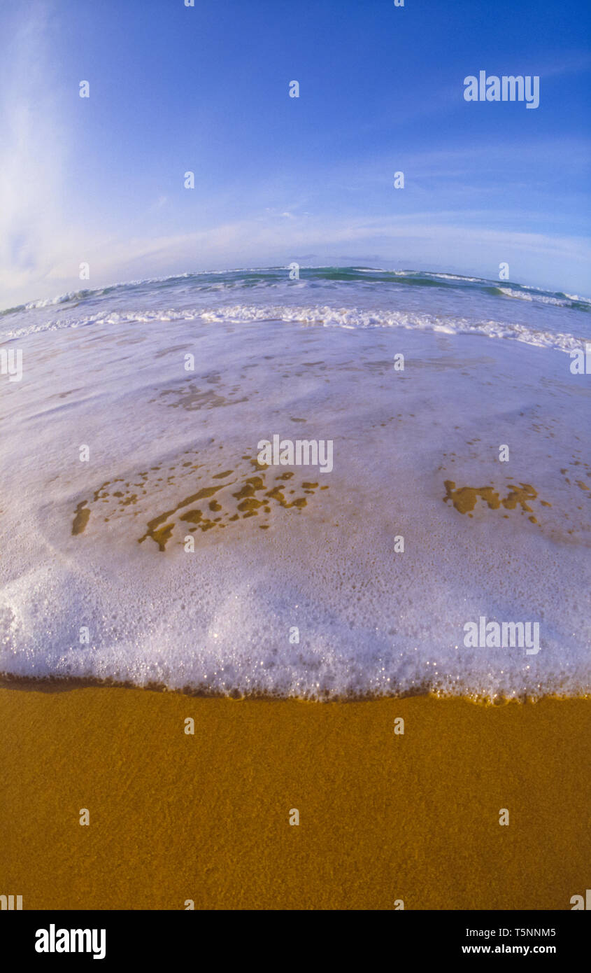 Distortion of nature hi-res stock photography and images - Alamy