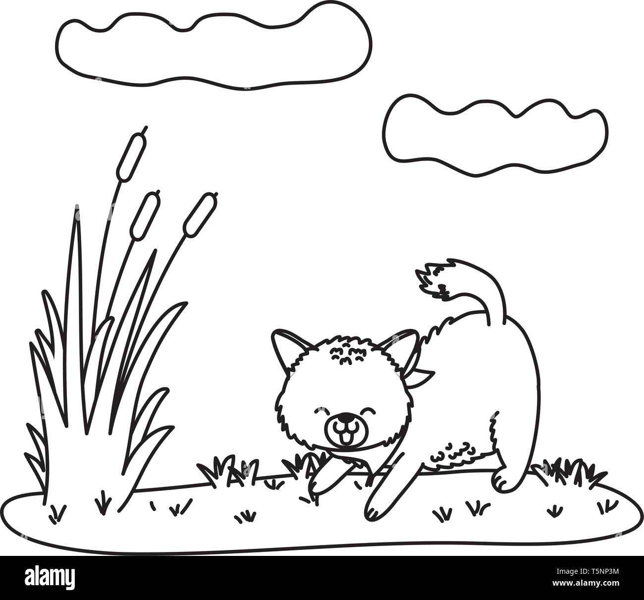 cute pet little animal cat outdoor scene cartoon vector illustration ...