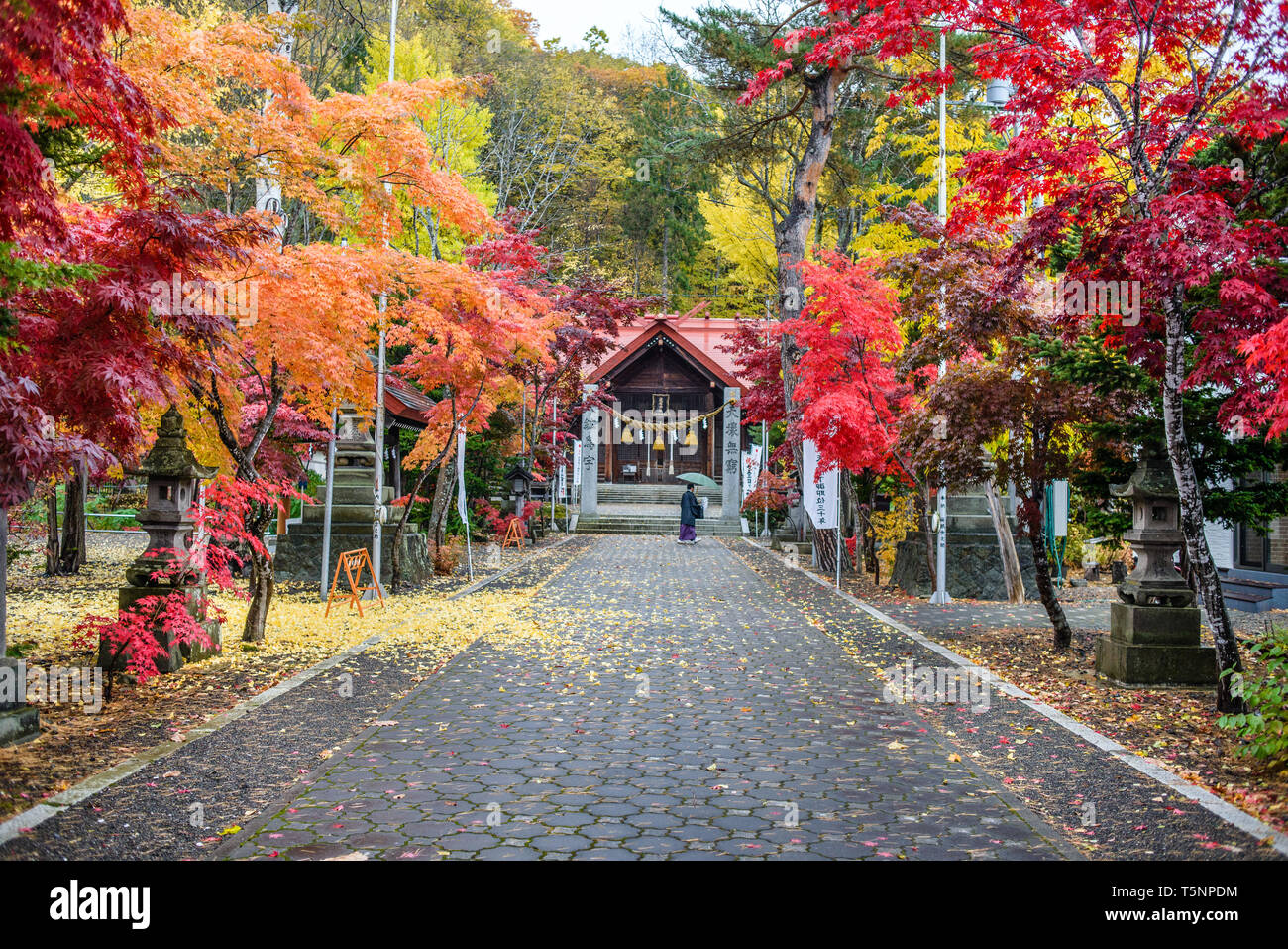 Shinto shrine in Engaru, Hokkaido, Japan Stock Photo - Alamy