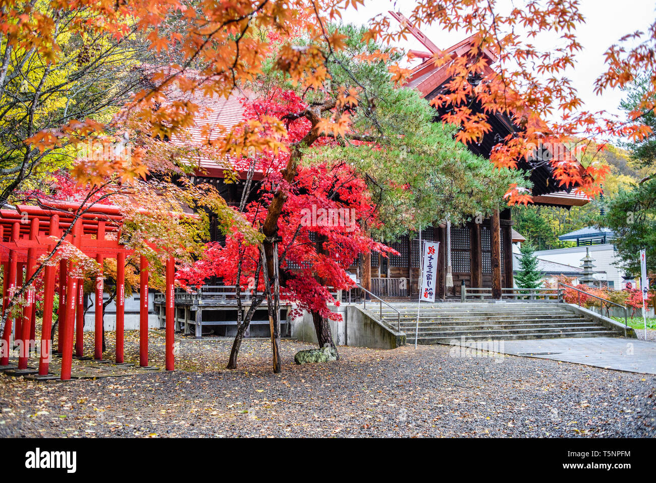 Engaru hi-res stock photography and images - Alamy