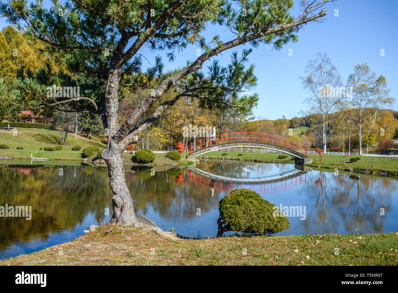 Autumn park in Engaru, Hokkaido, Japan Stock Photo - Alamy