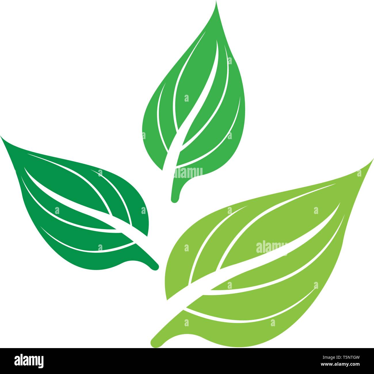 green leaf ecology nature element vector icon - Vector Stock Vector ...