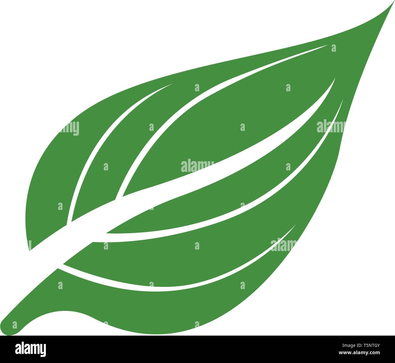 green leaf ecology nature element vector icon - Vector Stock Vector ...