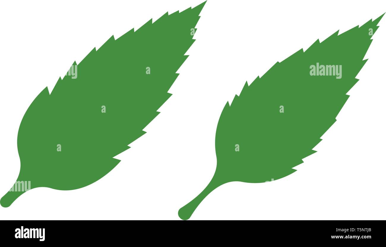 green leaf ecology nature element vector icon - Vector Stock Vector ...