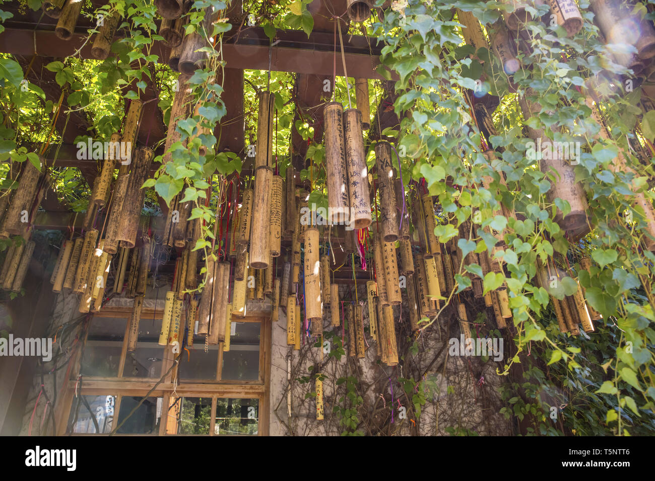 Jingtong train station bamboo bells Stock Photo - Alamy