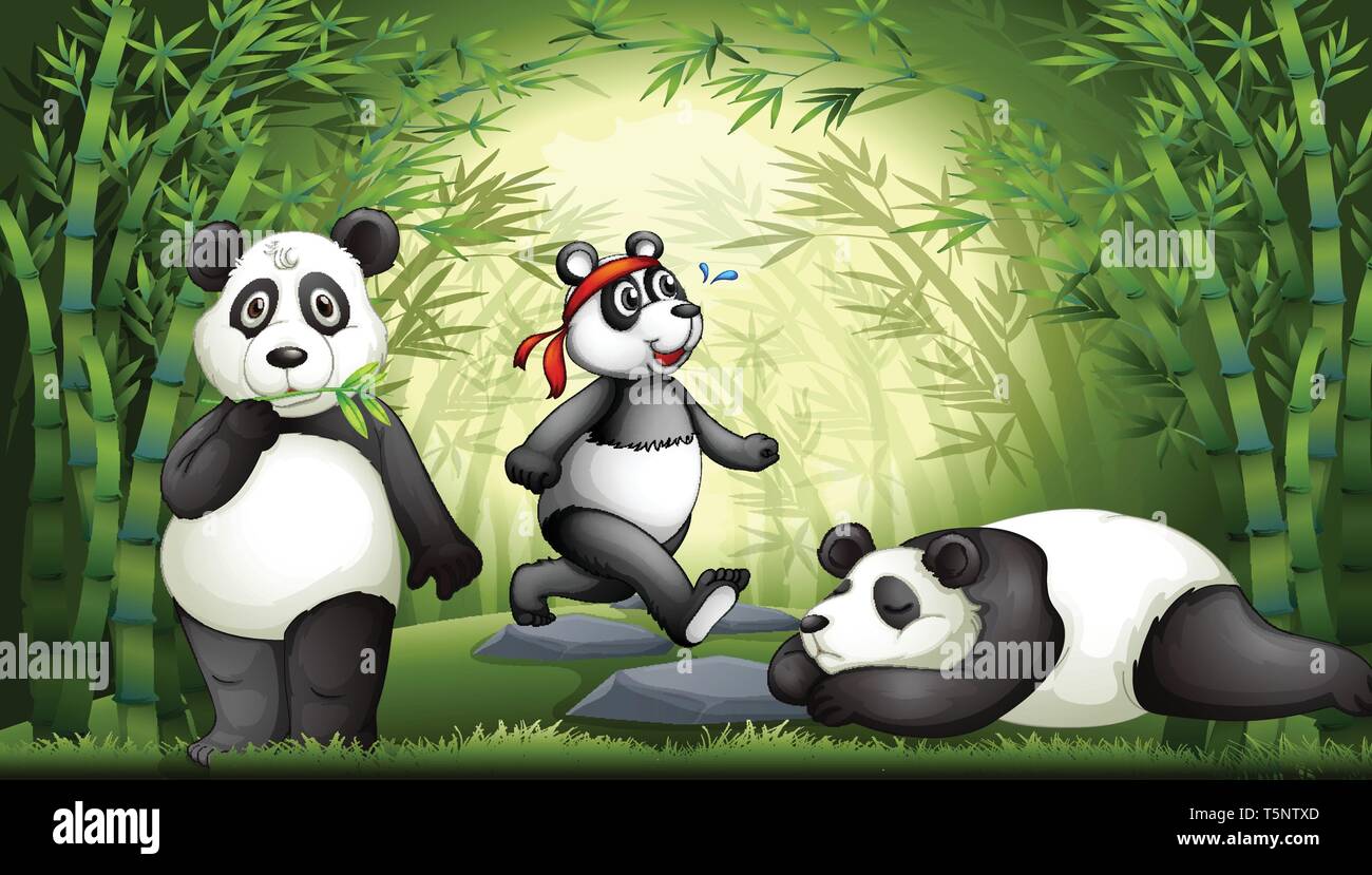 Panda in bamboo forest illustration Stock Vector Image & Art - Alamy