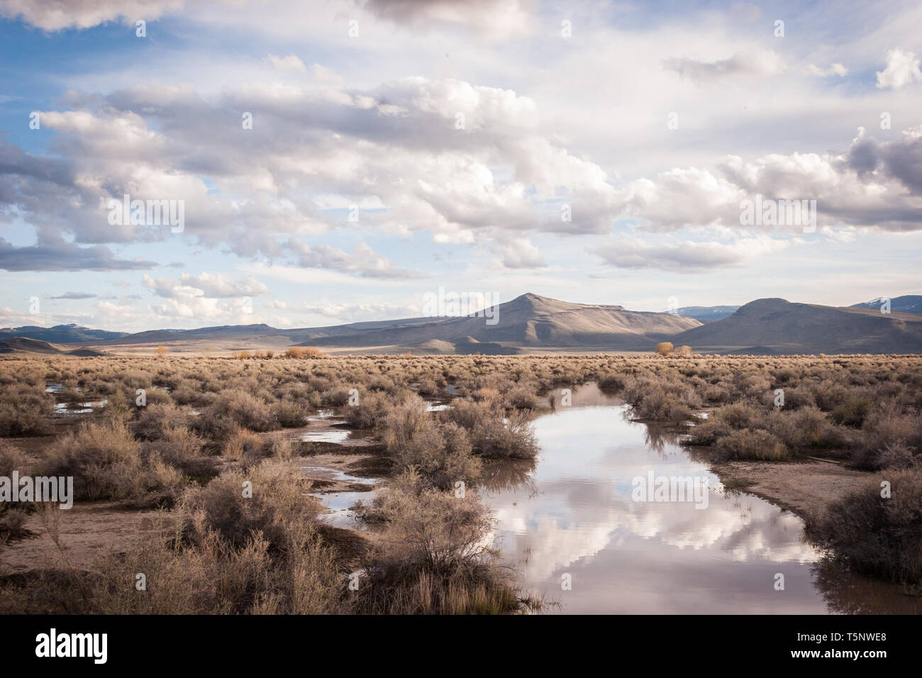 A dramatic landscape from the Great Basin in Oregon in spring during ...