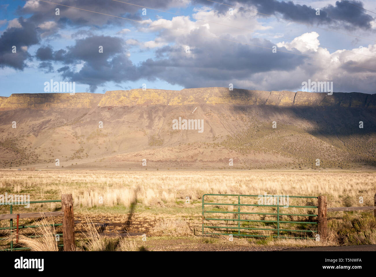 Sage brush great basin hi-res stock photography and images - Alamy