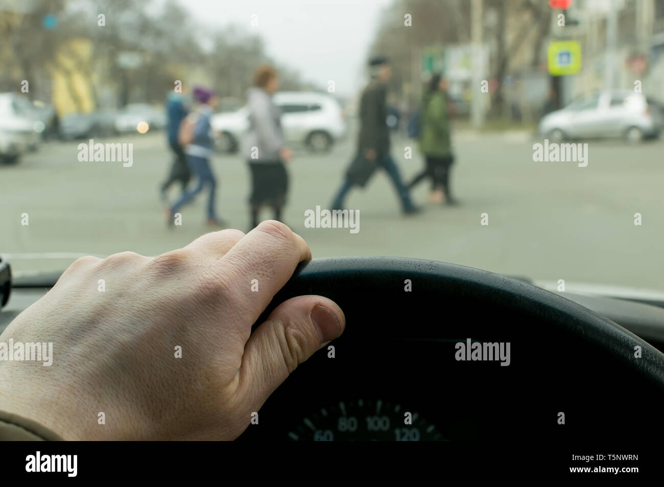 view from the car, the man's hand on the steering wheel of the car ...