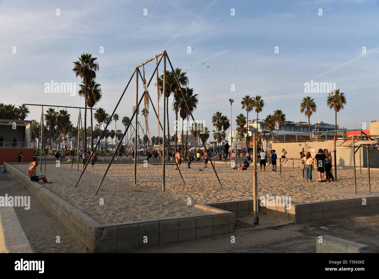 Muscle beach hi-res stock photography and images - Alamy