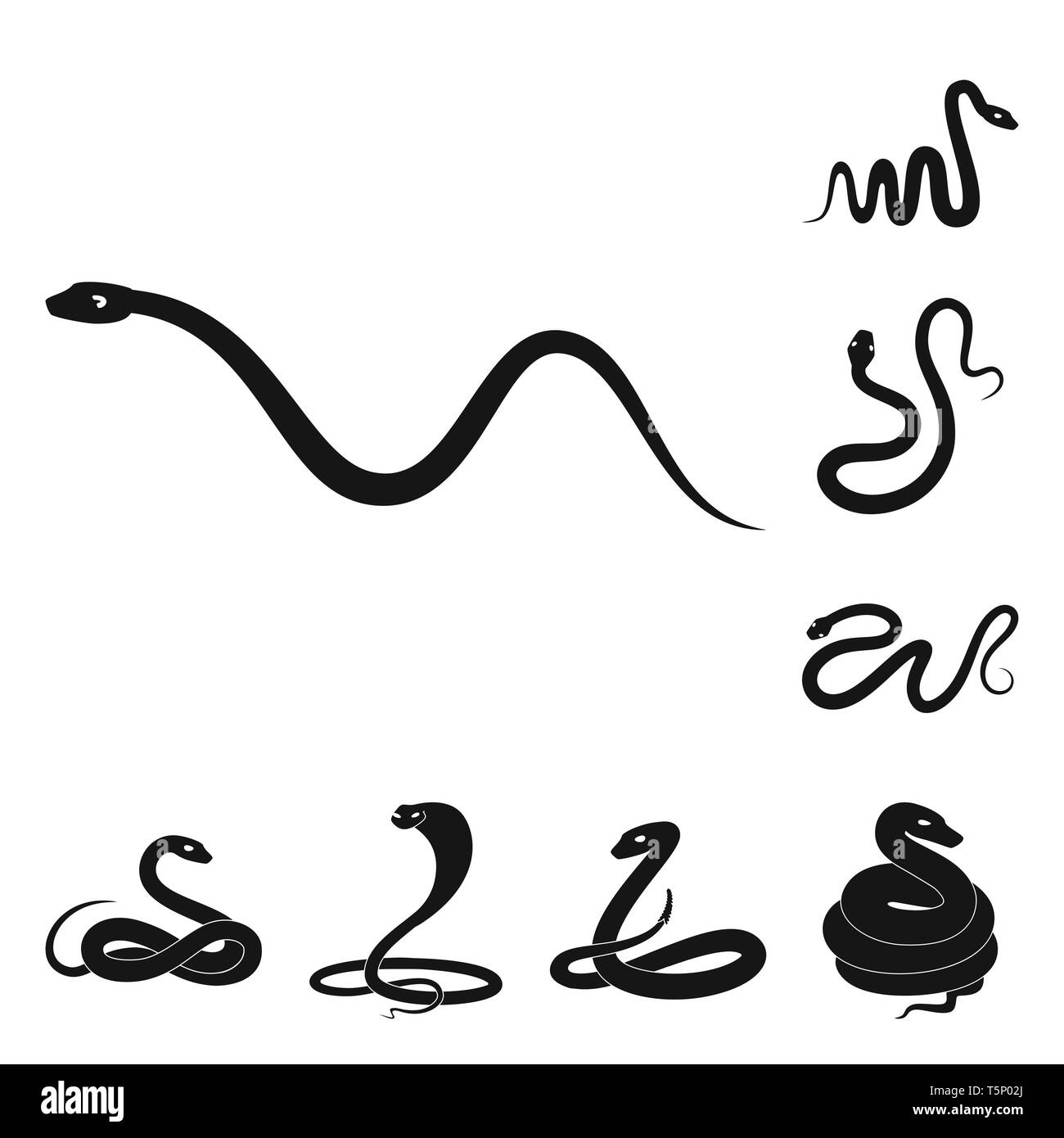snake,anaconda,cobra,tail,python,spiral,jungle,viper,animal,forest ...