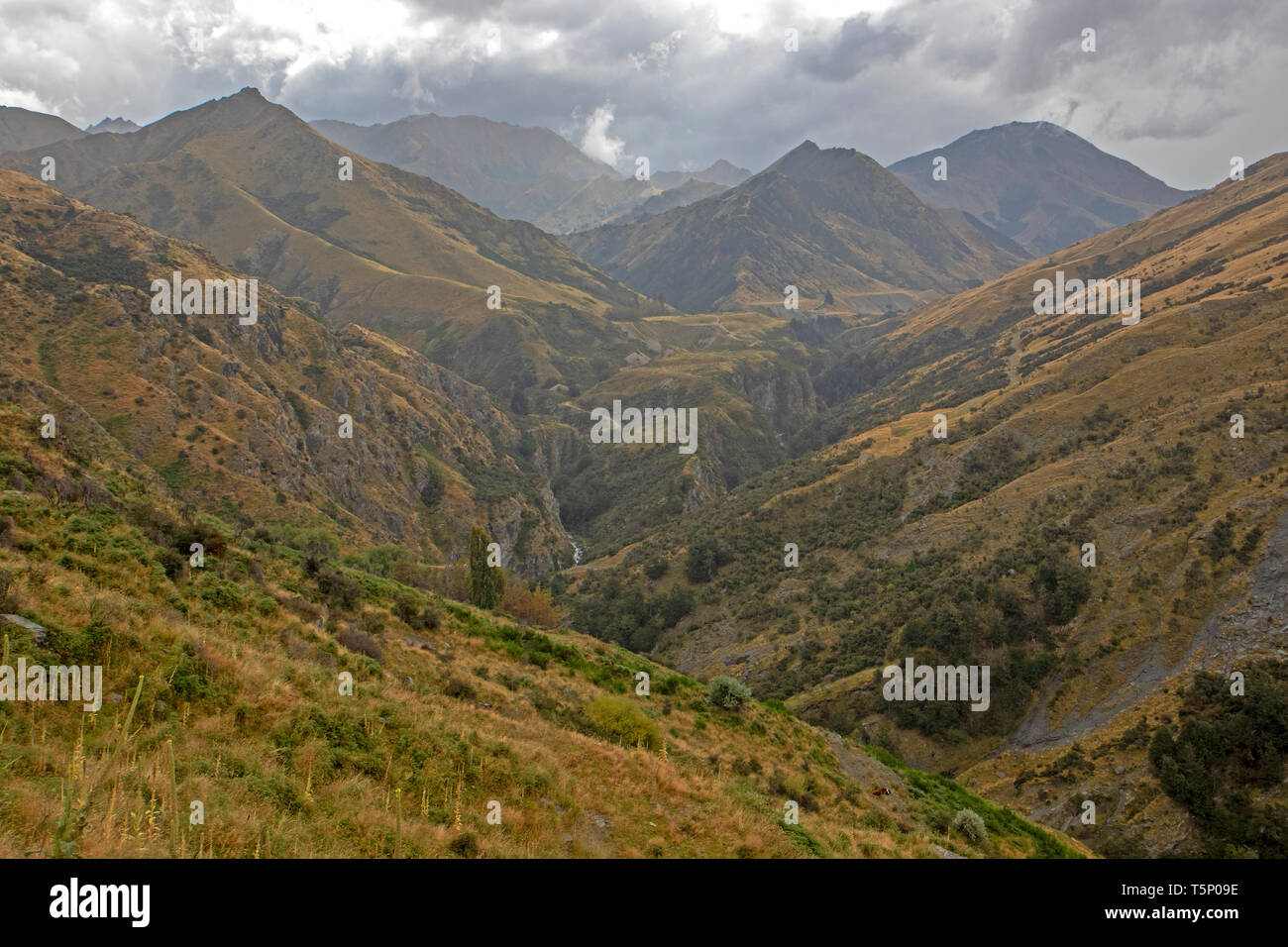 Moonlight Valley running through Ben Lomond Station behind Queenstown ...