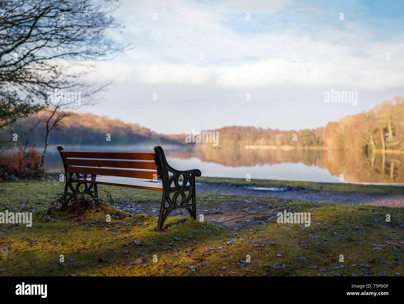 Park Bench with view over Lake with mist and tranquil water Stock Photo ...