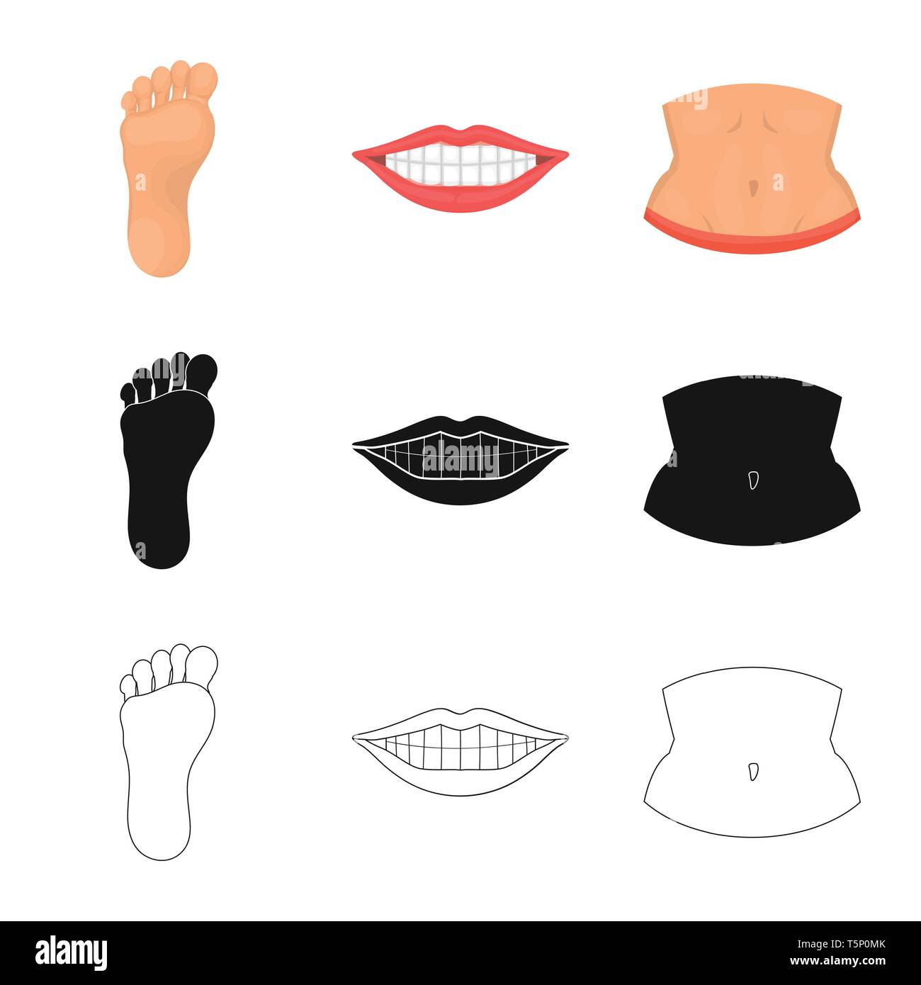 Vector illustration of body and part icon. Set of body and anatomy ...