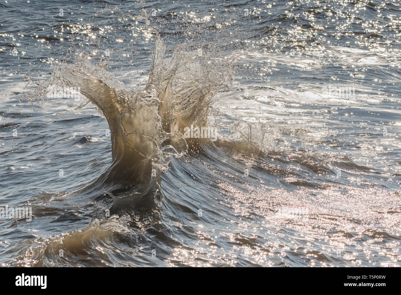 Shining back light hi-res stock photography and images - Alamy