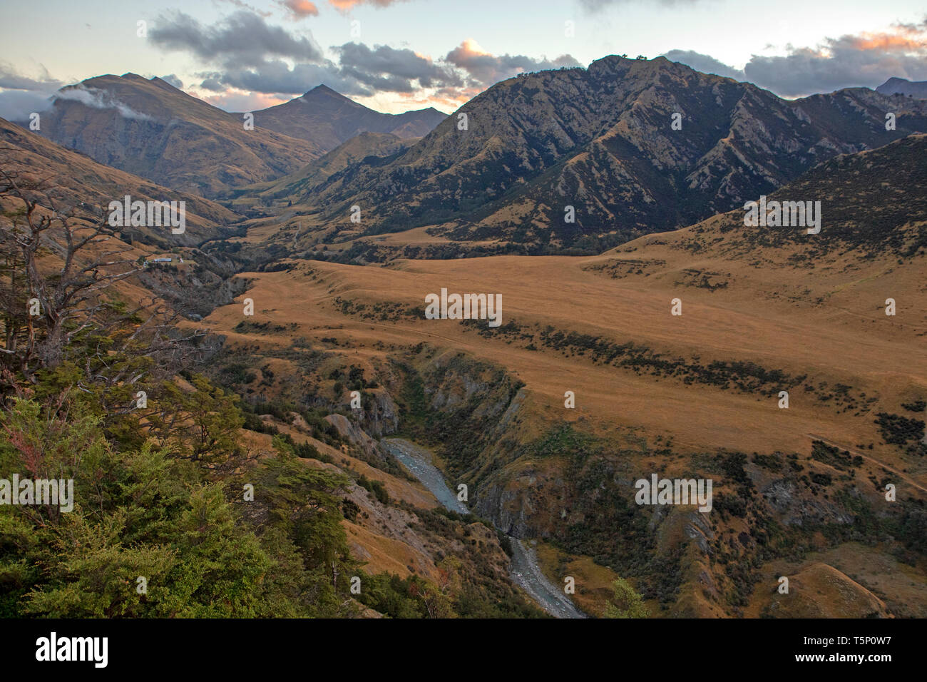 Moonlight valley new zealand hi-res stock photography and images - Alamy