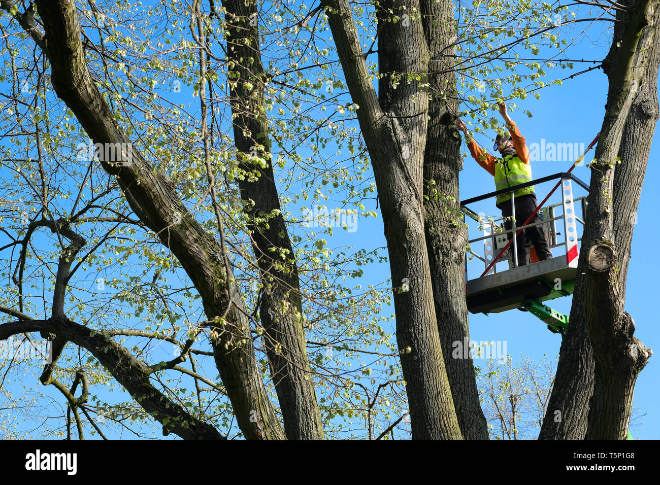 Tree trimming truck hi-res stock photography and images - Alamy